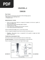 CLASS 9 CASE STUDY QUESTIONS | PDF | Tissue (Biology) | Epithelium