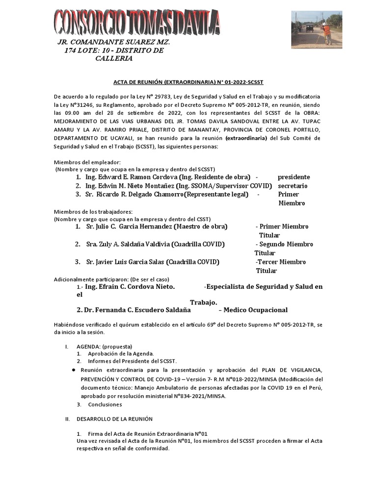 Acta de Reunión de SCSST | PDF