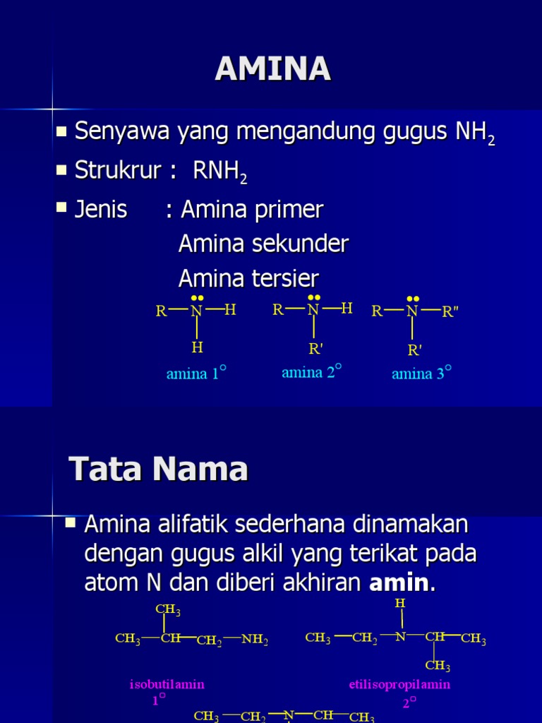 Amina Dan Amida | PDF