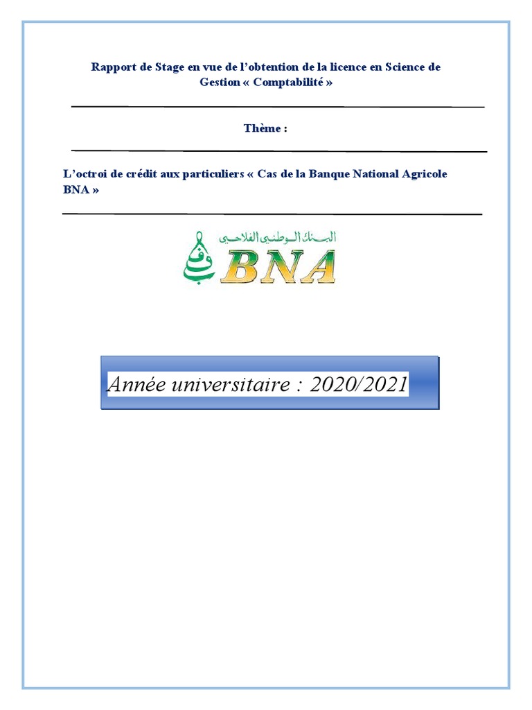 RAPPORT1 | PDF | Banques | Crédit