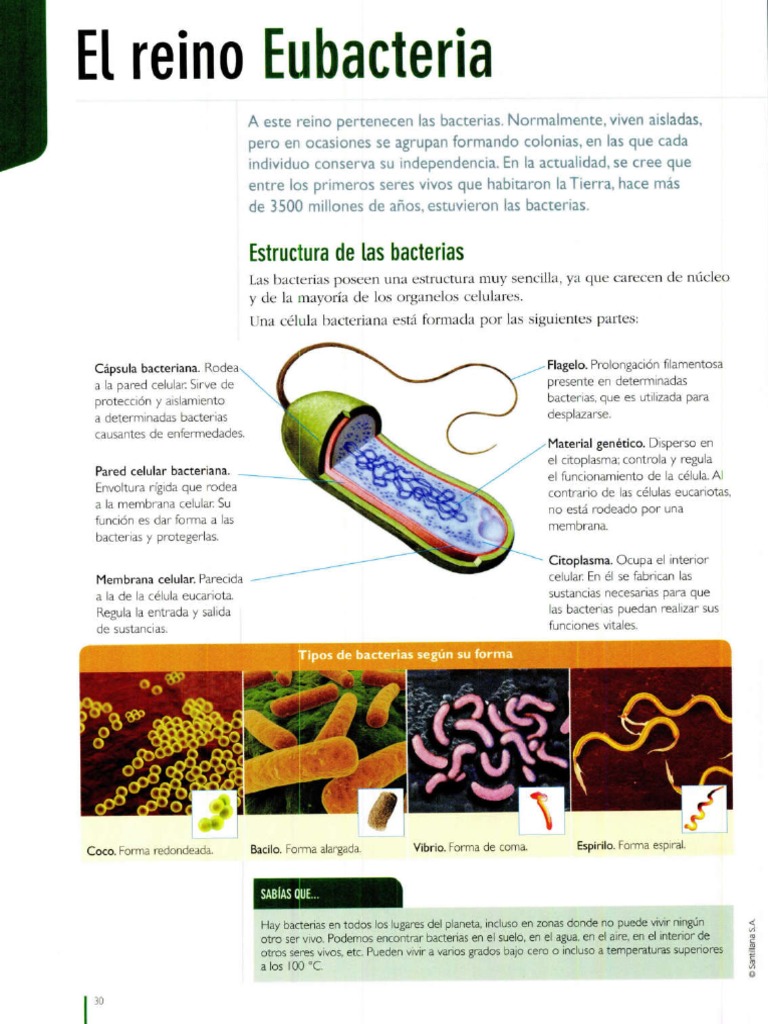 Reinos Biologicos-1ro Sec | PDF