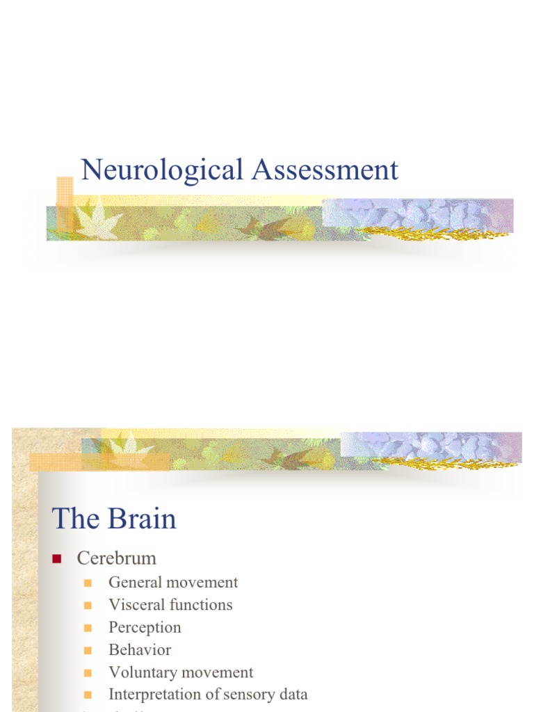 Assessing Superficial Pain Perception | PDF | Spinal Cord ...