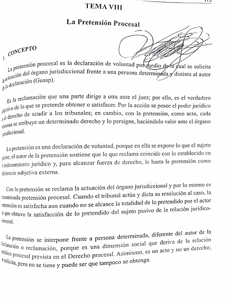 Pretension Procesal. Licda. Crista Ruiz Castillo de Juárez. | PDF