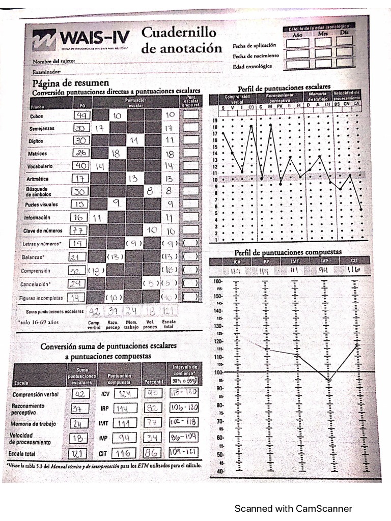 Wais IV Resultados | PDF