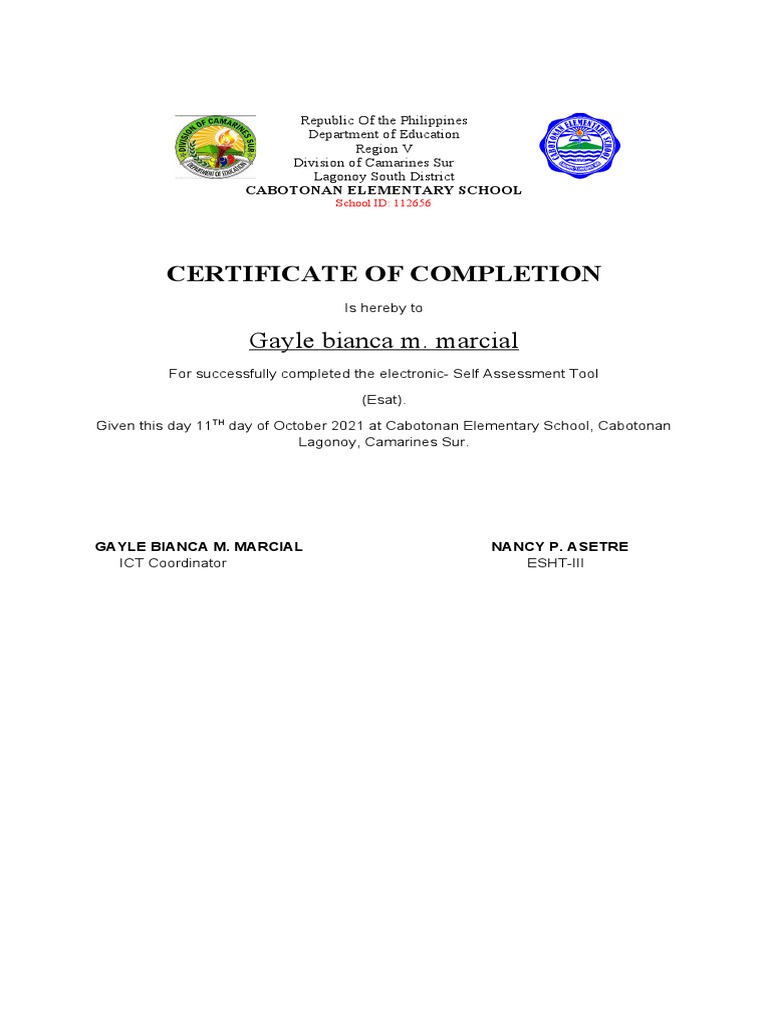 Certification Pdf