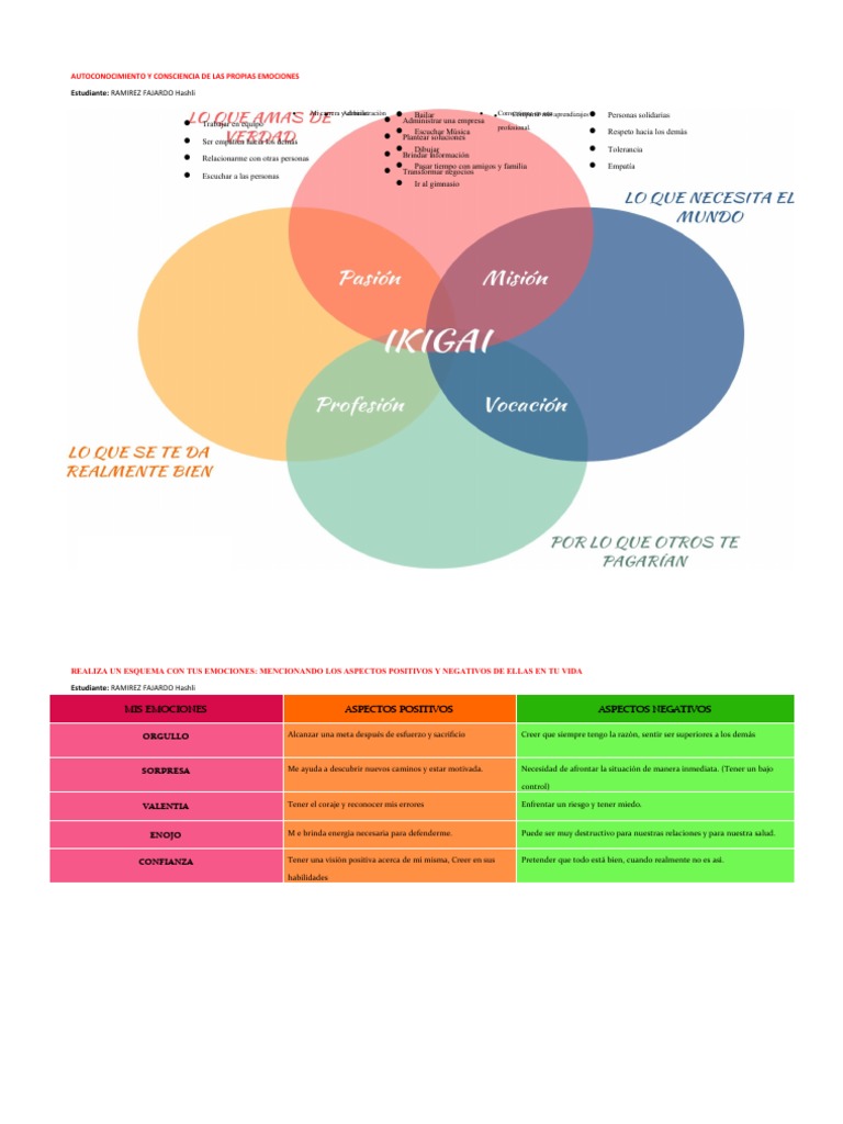 Ikigai Personal Ramirez Fajardo Hashli Pdf