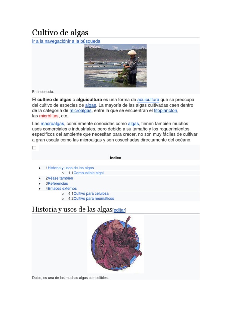 Cultivo de Algas | PDF