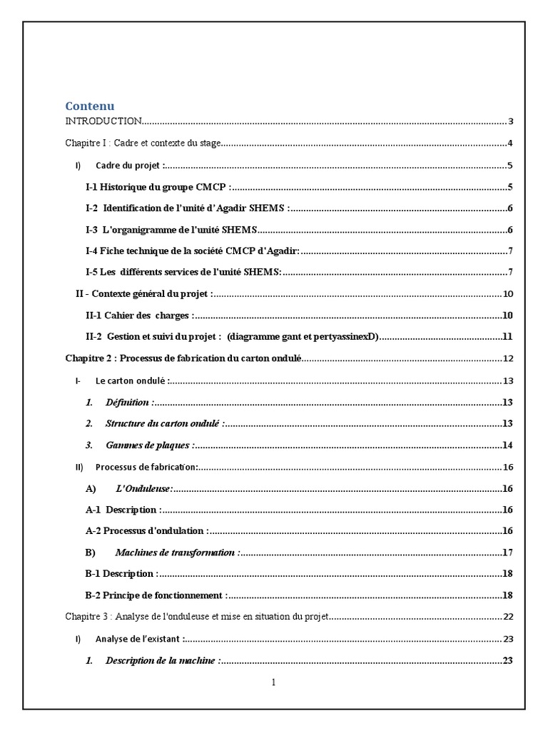 Rapport CMCP IP ELGAMAN | PDF | Affaires | Ordinateurs