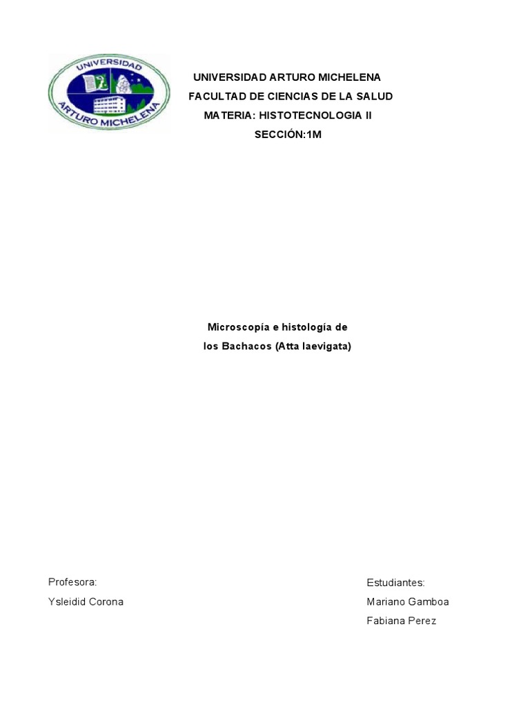 Bachaco | PDF