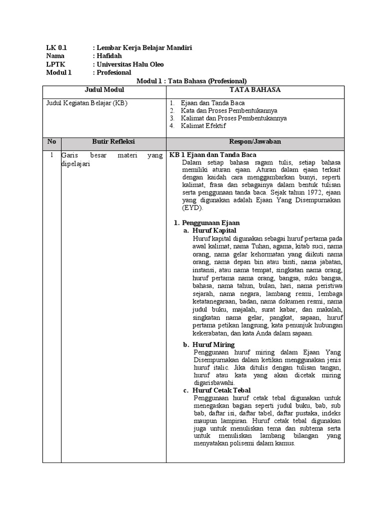 LK 0.1 - Modul 1 - 6 Profesional | PDF