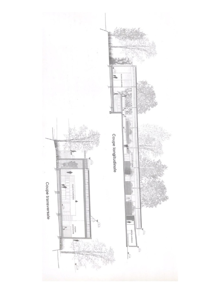 Coupe Longitudinale | PDF