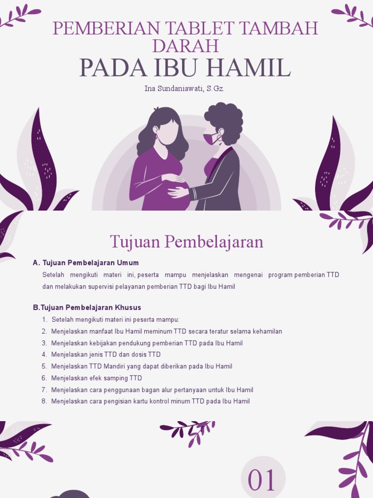 Pemberian TTD Bumil - Ina | PDF