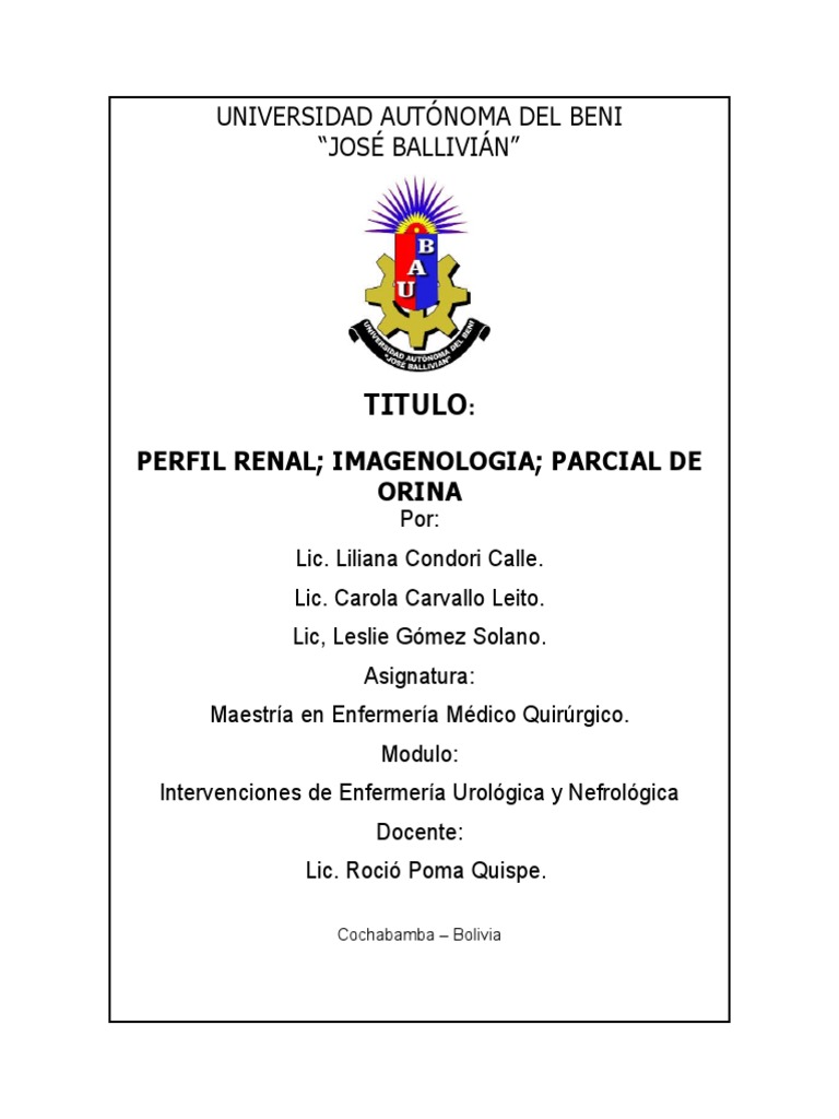 Informe Perfil Renal | PDF | Vejiga urinaria | Especialidades Medicas
