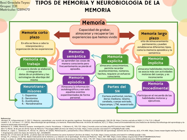 Tipos de memoria y sus bases neurobiológicas | PDF | Memoria | Aprendizaje
