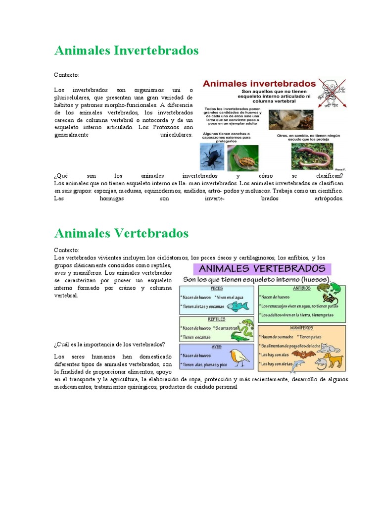 Animales Invertebrados y Vertebrados | PDF