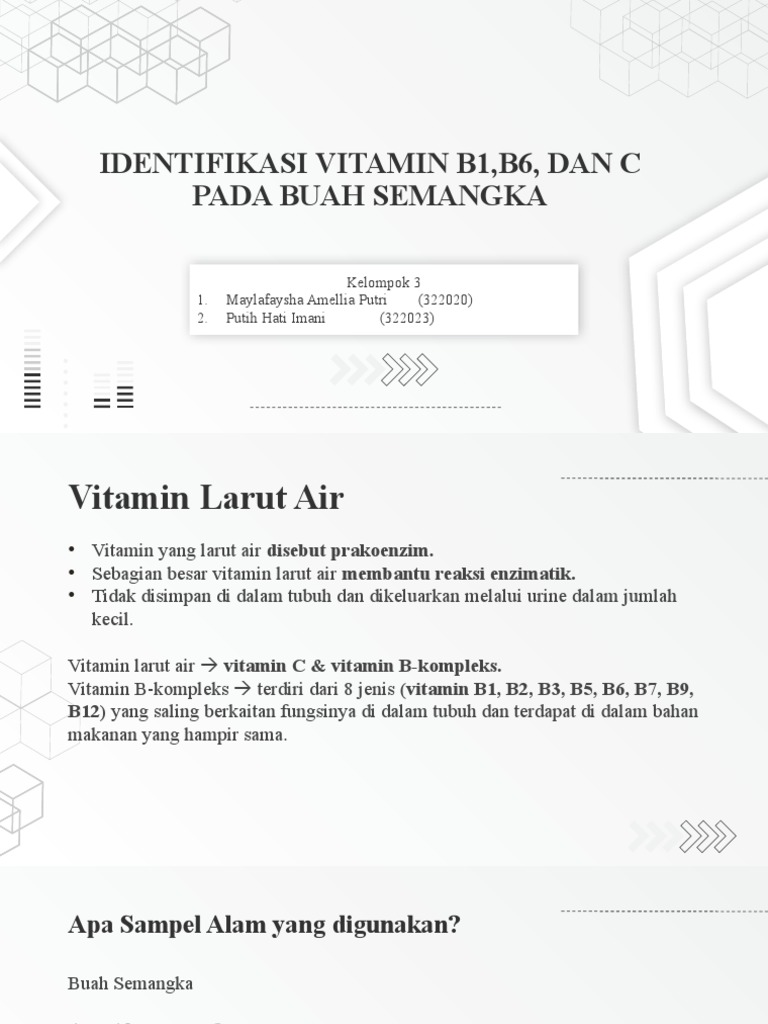 Vitamin Larut Air Rev | PDF