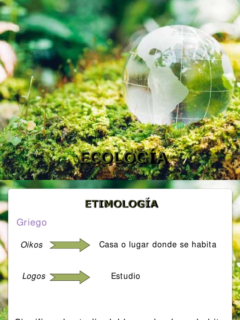 Tema 6. Ecologia | PDF | Sistema | Ecología