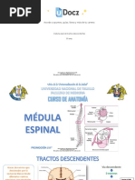 PSFS - (Escala Funcional Especifica Del Paciente) | PDF