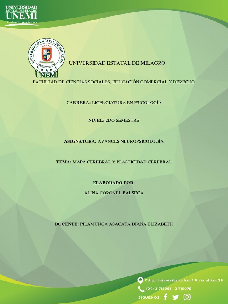Tarea Semana 4 | PDF | Aprendizaje | Cerebro Tarea Semana 4 | PDF | Aprendizaje | Cerebro