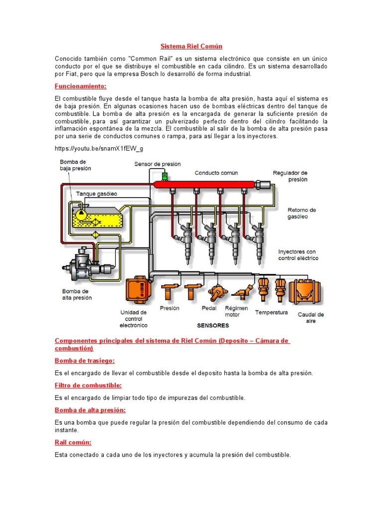 Sistema Riel Común | PDF