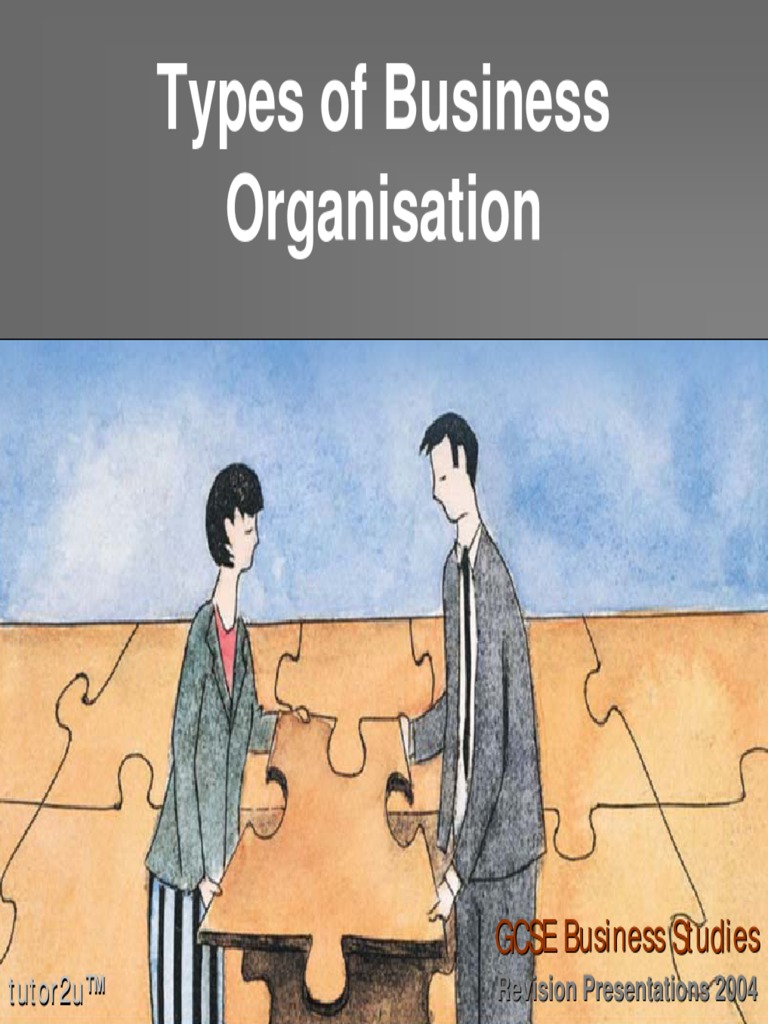 Typesof Business Organisation | PDF