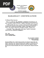 RSBSA Barangay Certificate | PDF