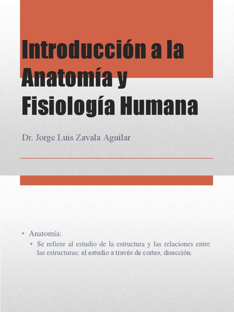 Introducción Anatomia Y Fisiología Pdf Términos Anatómicos De