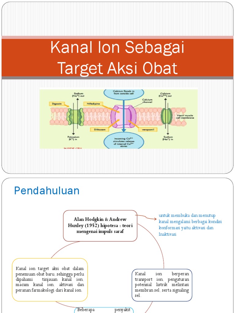 Kanal Ion: Target Aksi Obat dan Mekanisme | PDF