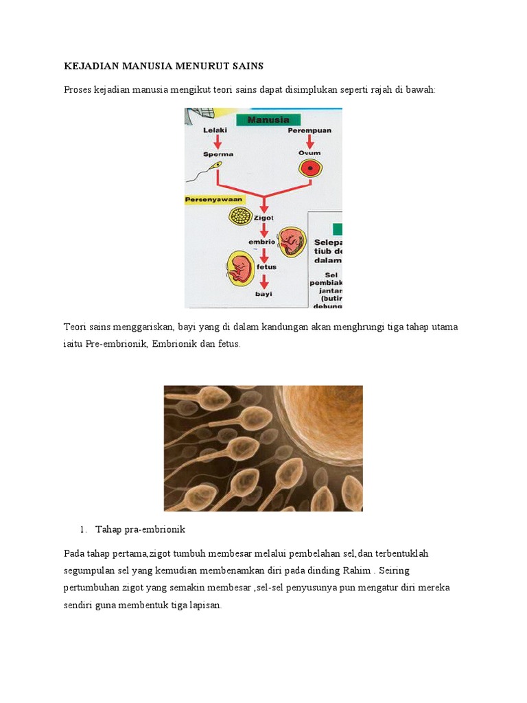 Proses Kejadian Manusia Menurut Sains | PDF
