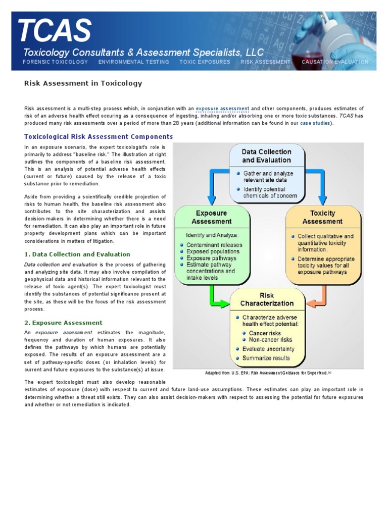 Risk Assessment in Toxicology | PDF | Toxicology | Toxicity