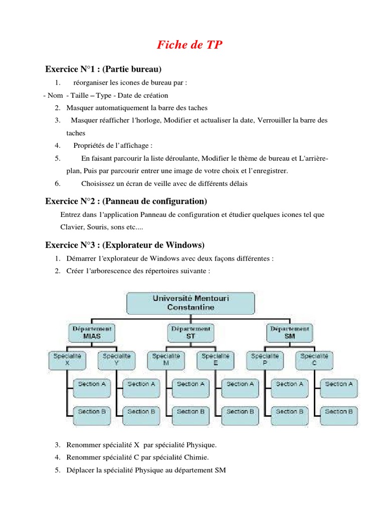 TP 01 Windows | PDF | Ordinateurs