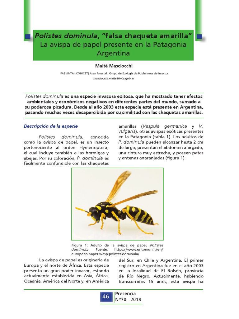 La Avispa de Papel | PDF | Insectos