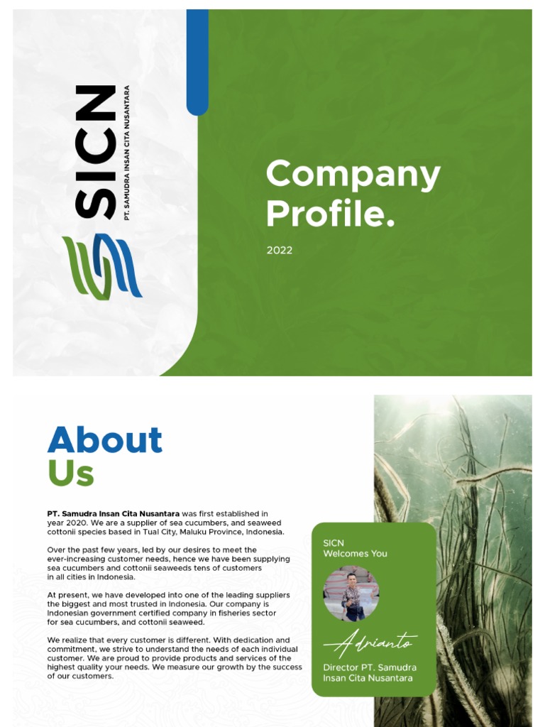 Sicn CV | PDF Sicn CV | PDF