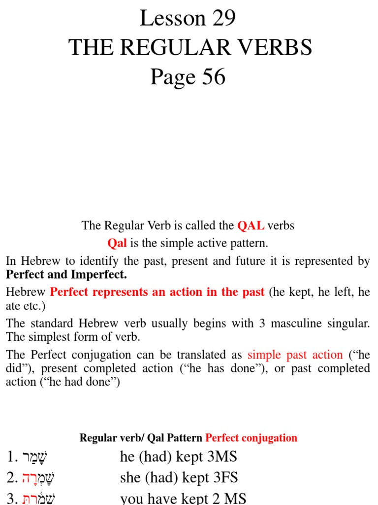 Lesson 29 The Regular Verbs | PDF