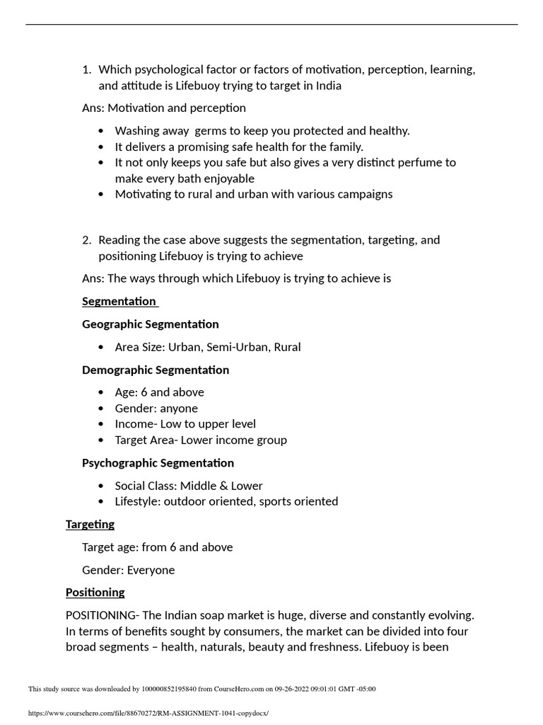 RM Assignment 1041 | PDF | Market Segmentation | Motivation