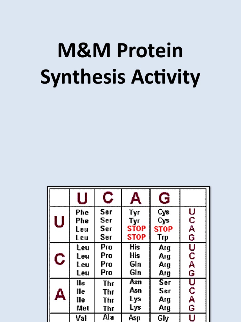 MM Protein Synthesis Activity CBdiTEE | PDF | Translation (Biology ...