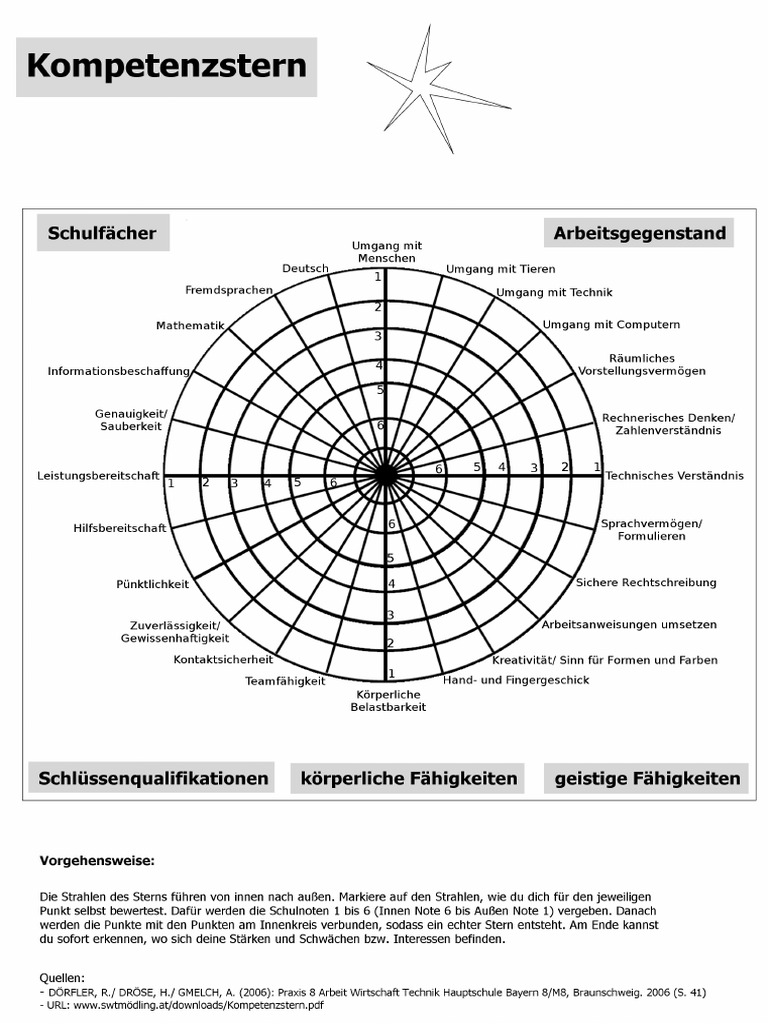 Kompetenzstern | PDF