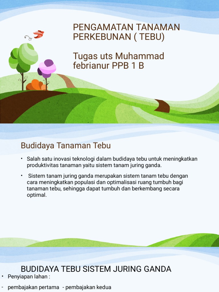 Sistem Pertanian Modern Tanaman Perkebunan (Tebu) | PDF
