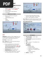 Pathoma Notes CH 1 3 PDF | PDF | T Helper Cell | Cytotoxic T Cell