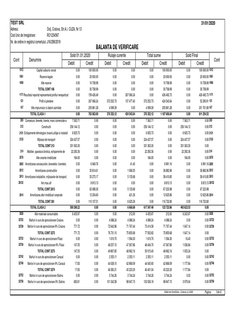 Balanta Finala Ianuarie | PDF