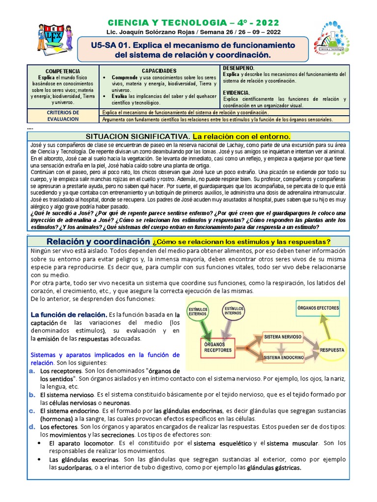 Relación y Coordinación en Seres Vivos | PDF | Neurona | Sistema nervioso