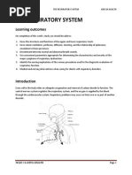 ICU NCP Airway | PDF | Respiratory Tract | Respiratory System