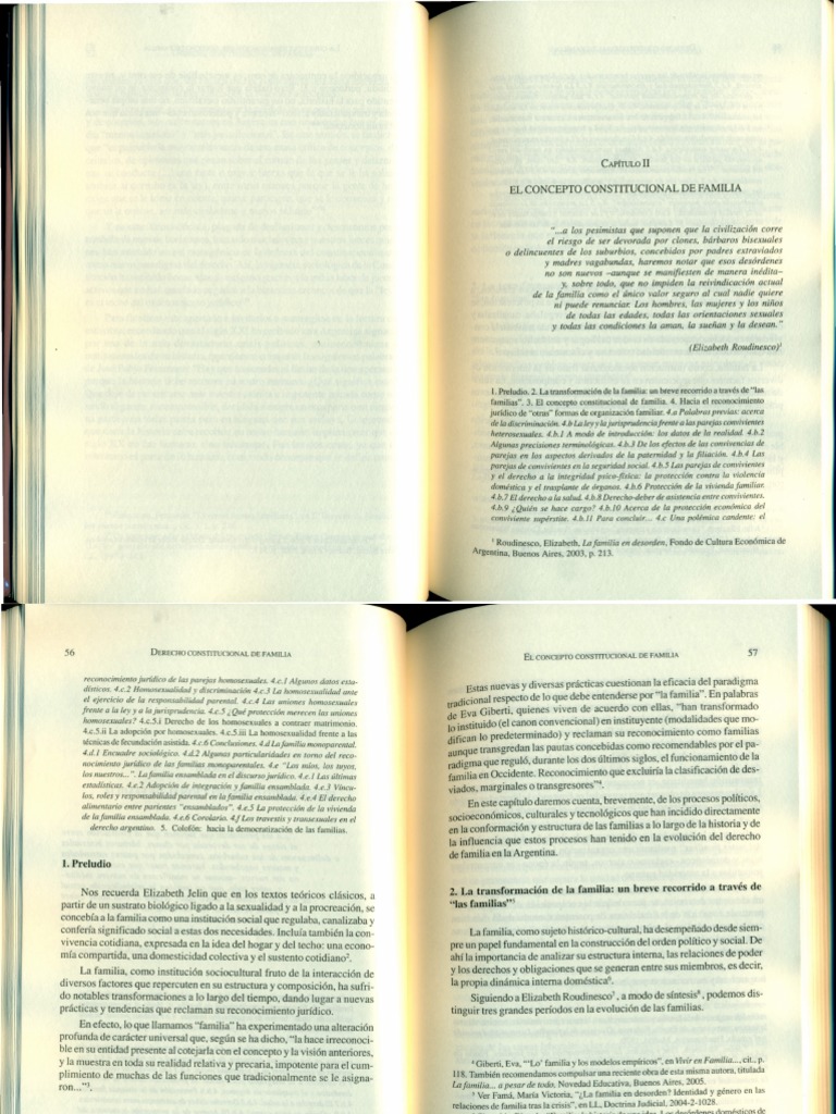 GIL DOMINGUEZ, Andres FAMA, Maria Victoria HERRERA, Marisa. El Concepto ...