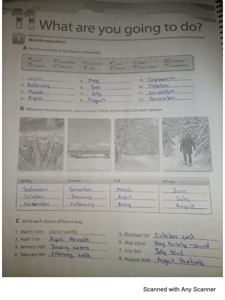 Unidad 11 | PDF