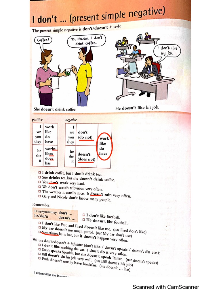 Present Simple Negative | PDF