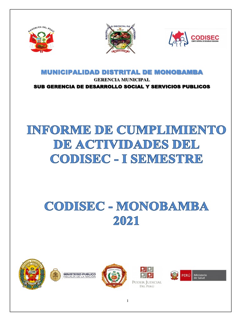 Informe de CODISEC | Descargar gratis PDF | Gobierno | Esfera pública