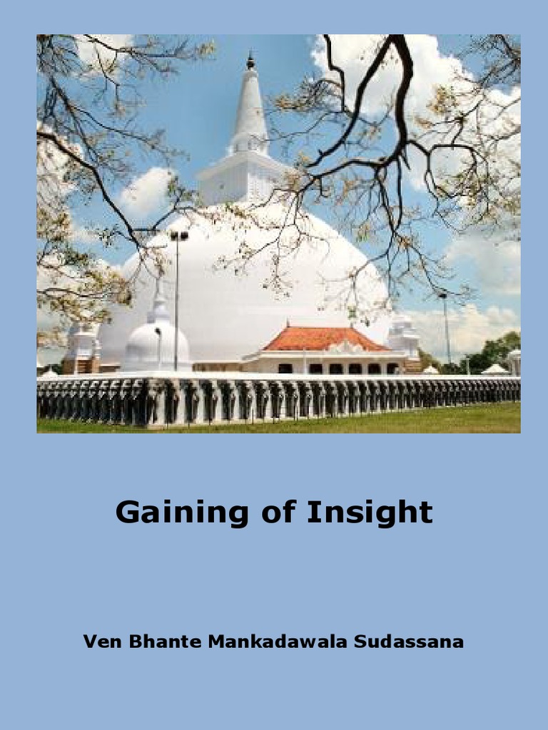 Gaining of Insight v2 | PDF