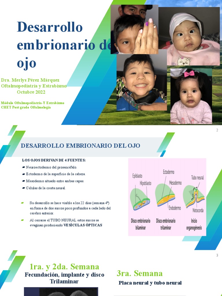Seminario Desarrollo Embrionario Del Ojo 1 | PDF | Ojo humano | Córnea