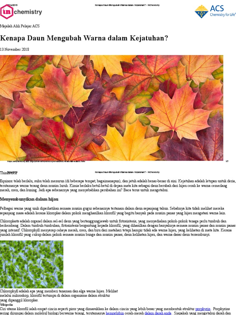 Kenapa Daun Mengubah Warna Dalam Kejatuha | PDF | Kesehatan Holistik ...