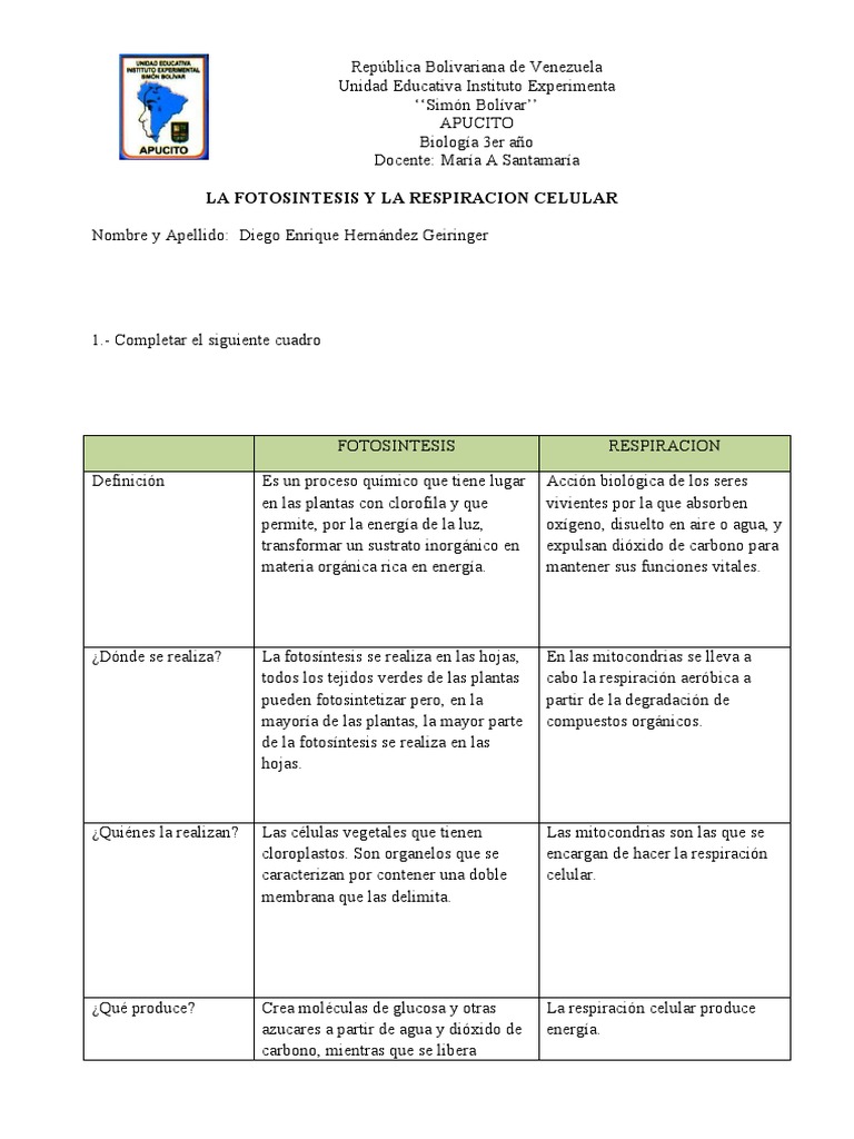 Comparativa: Fotosíntesis vs Respiración | PDF